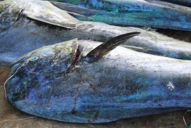 Travel Guide to Malta: Tips for an Unforgettable Trip